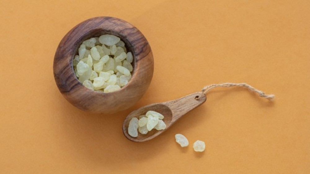 ما هي المستكة وما هي فوائدها الصحية؟ - جمالك